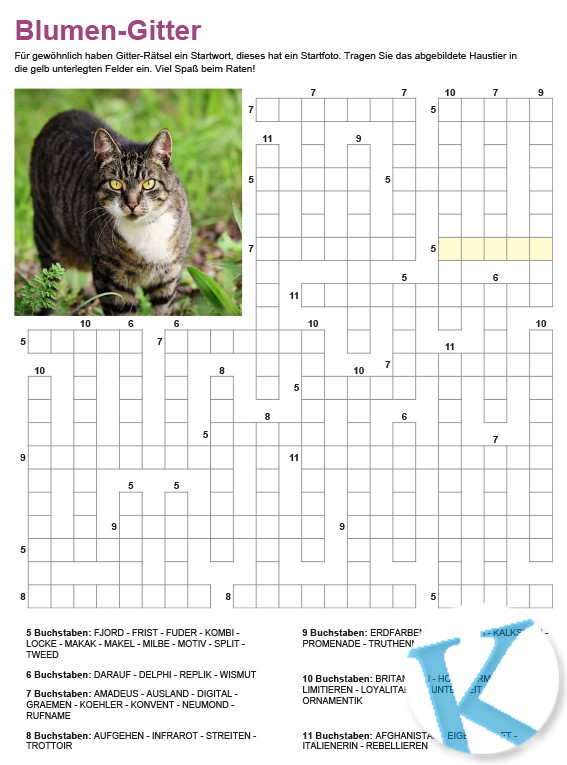 Gitterrätsel – KRUPION Rätselshop